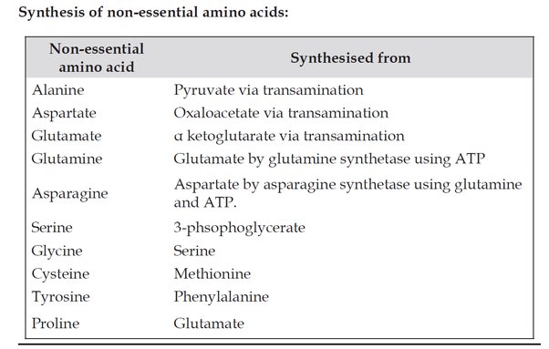 How do we get the amino acids your body Cannot make itself?