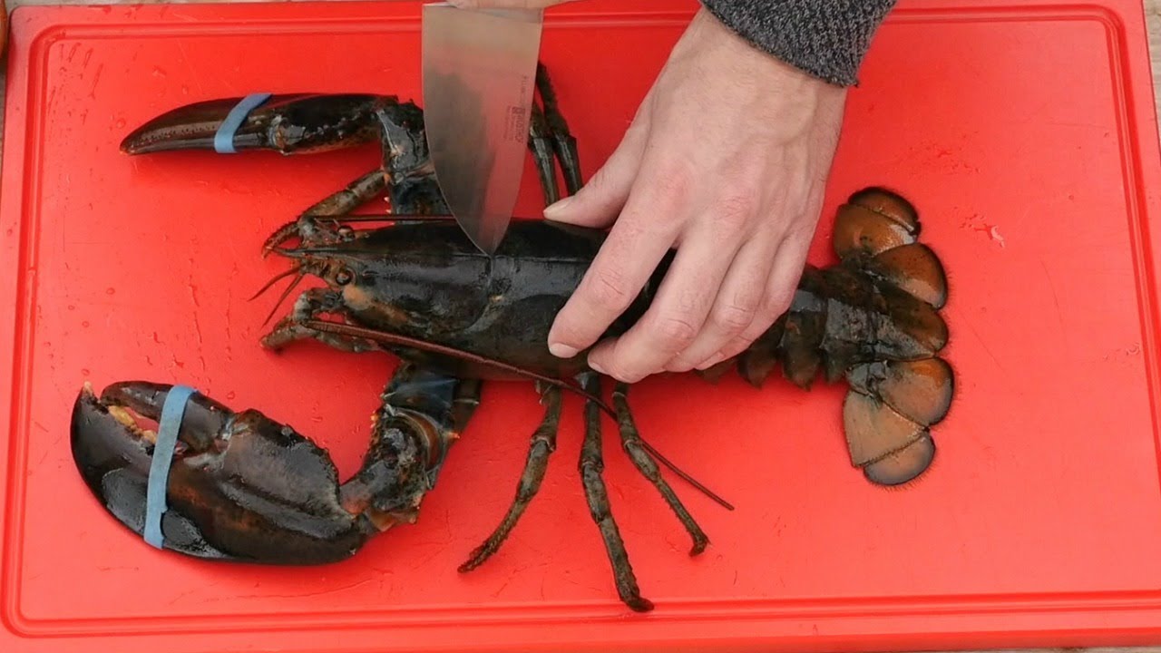 How do you BBQ live lobster?
