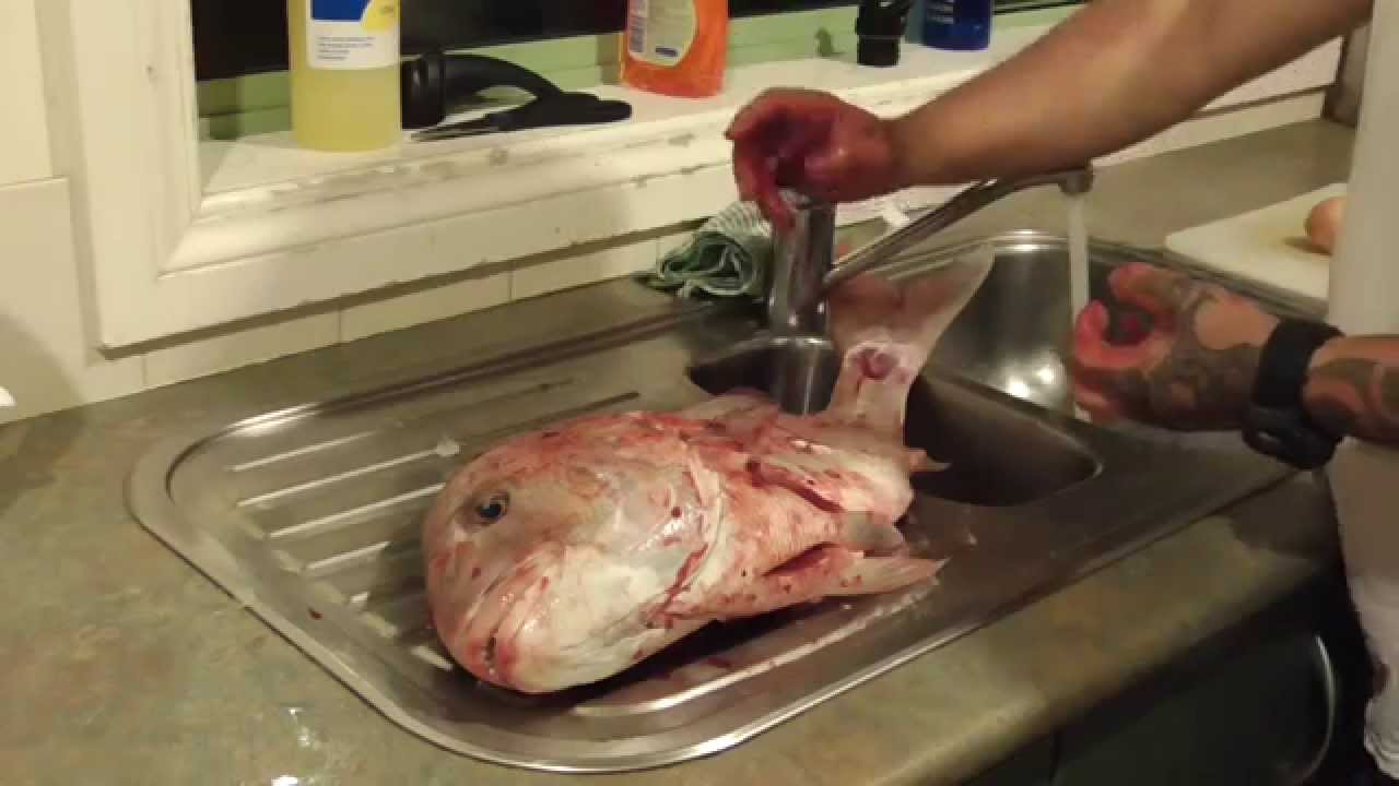 How do you boil a fish head?