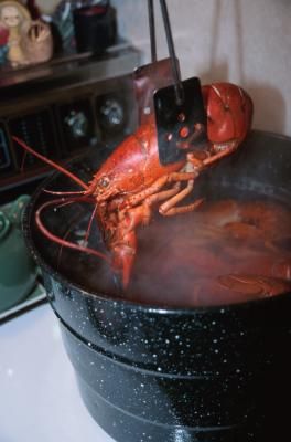 How do you boil pre cooked frozen lobster?