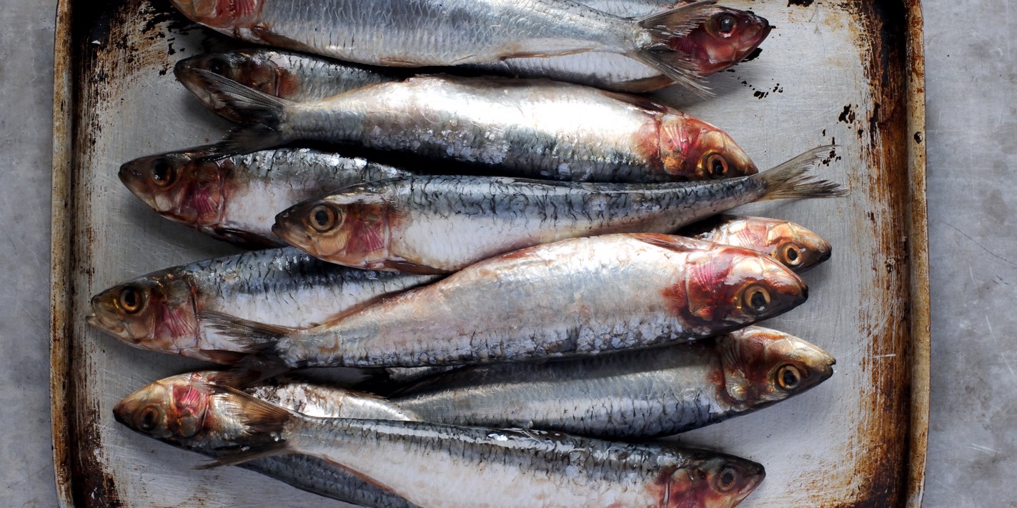 How do you boil sardines?