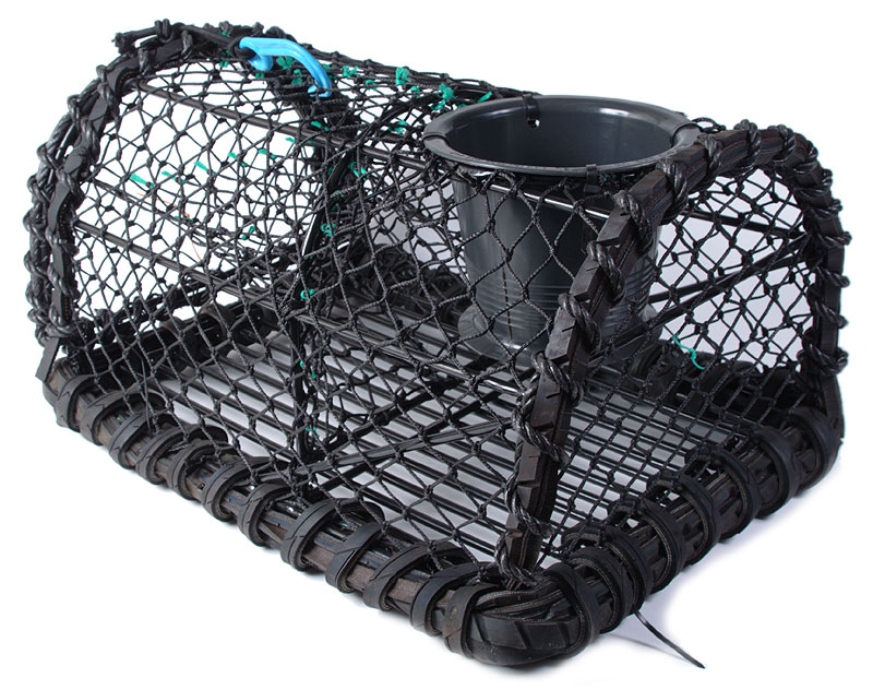 How do you buy a lobster pot?