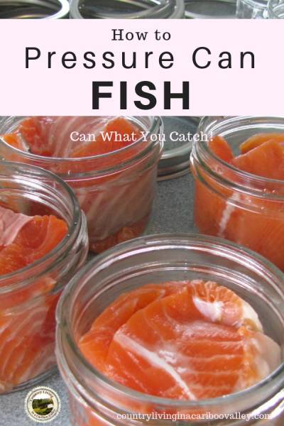 How do you can your own salmon?