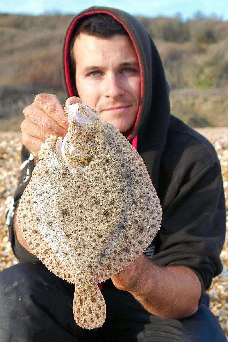 How do you catch a turbot?