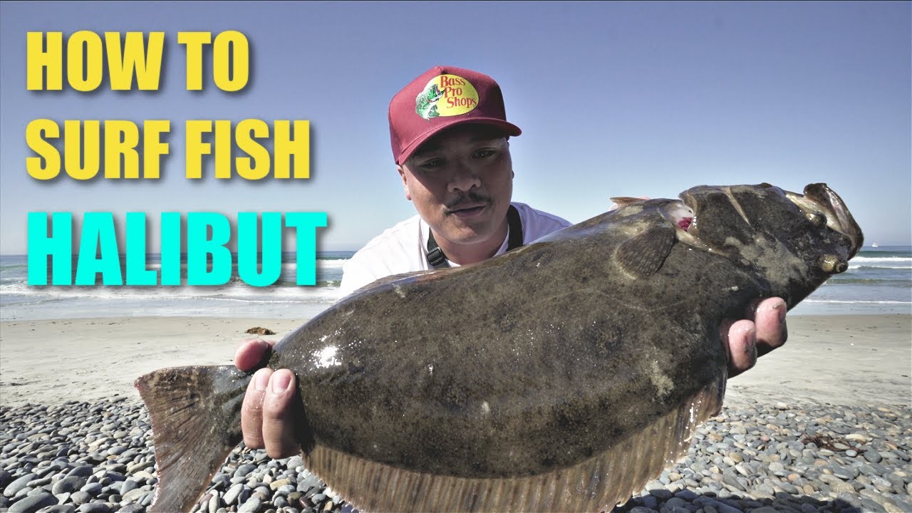 How do you catch halibut from the shore?