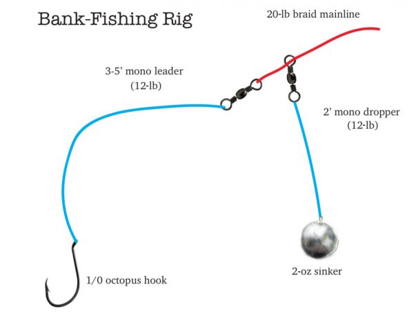 How do you catch walleye in shore fishing?