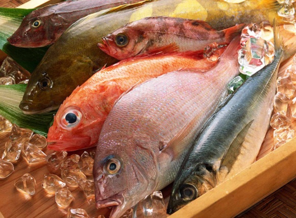 How do you characterize a fresh fish and shellfish from a stale one?