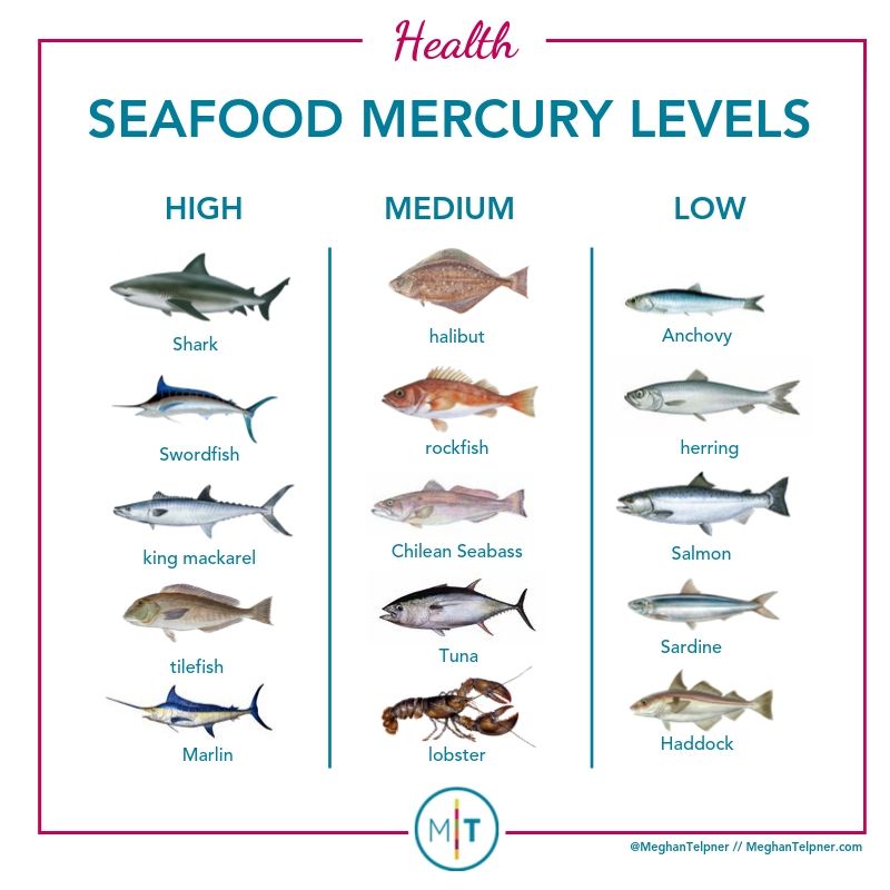 How do you choose a healthy fish to eat?