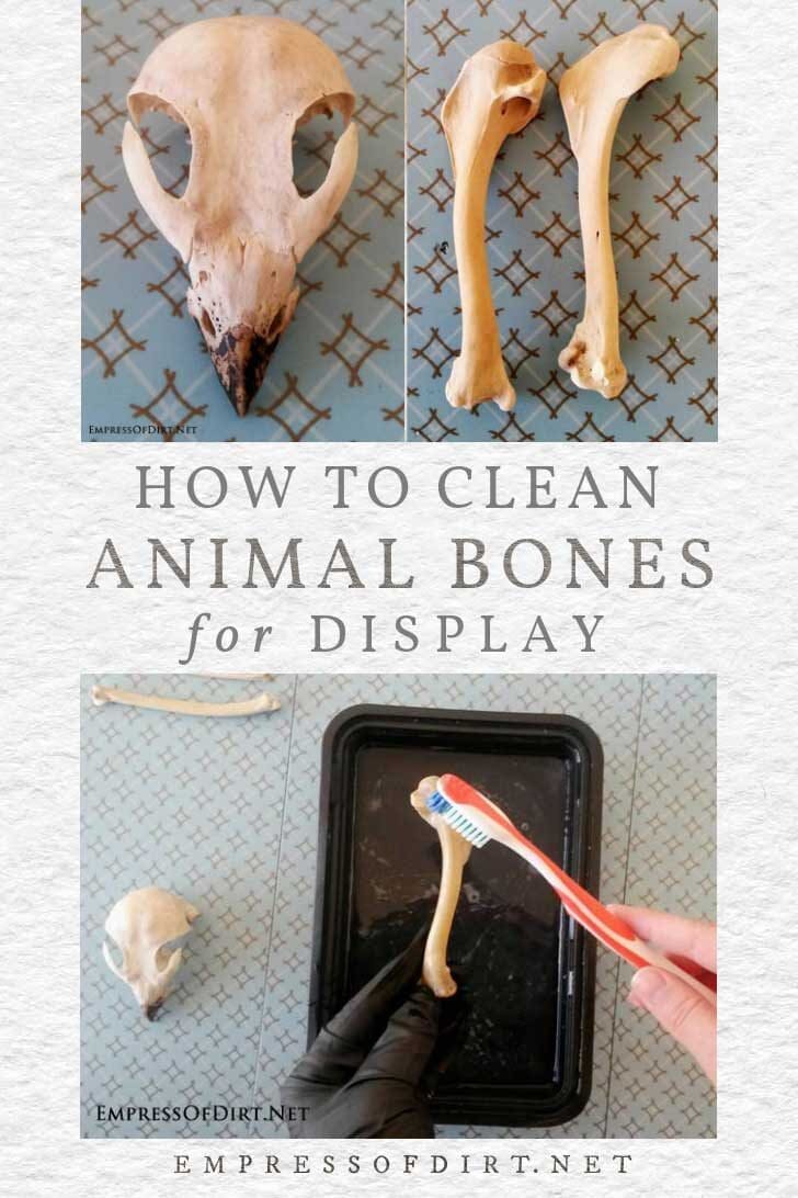 How do you clean a bone before cooking?