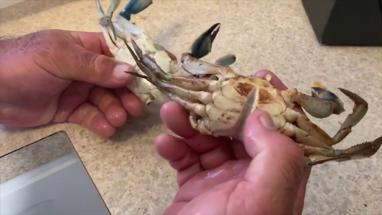 How do you clean a dirty crab?