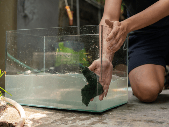 How do you clean a fish bowl before use?