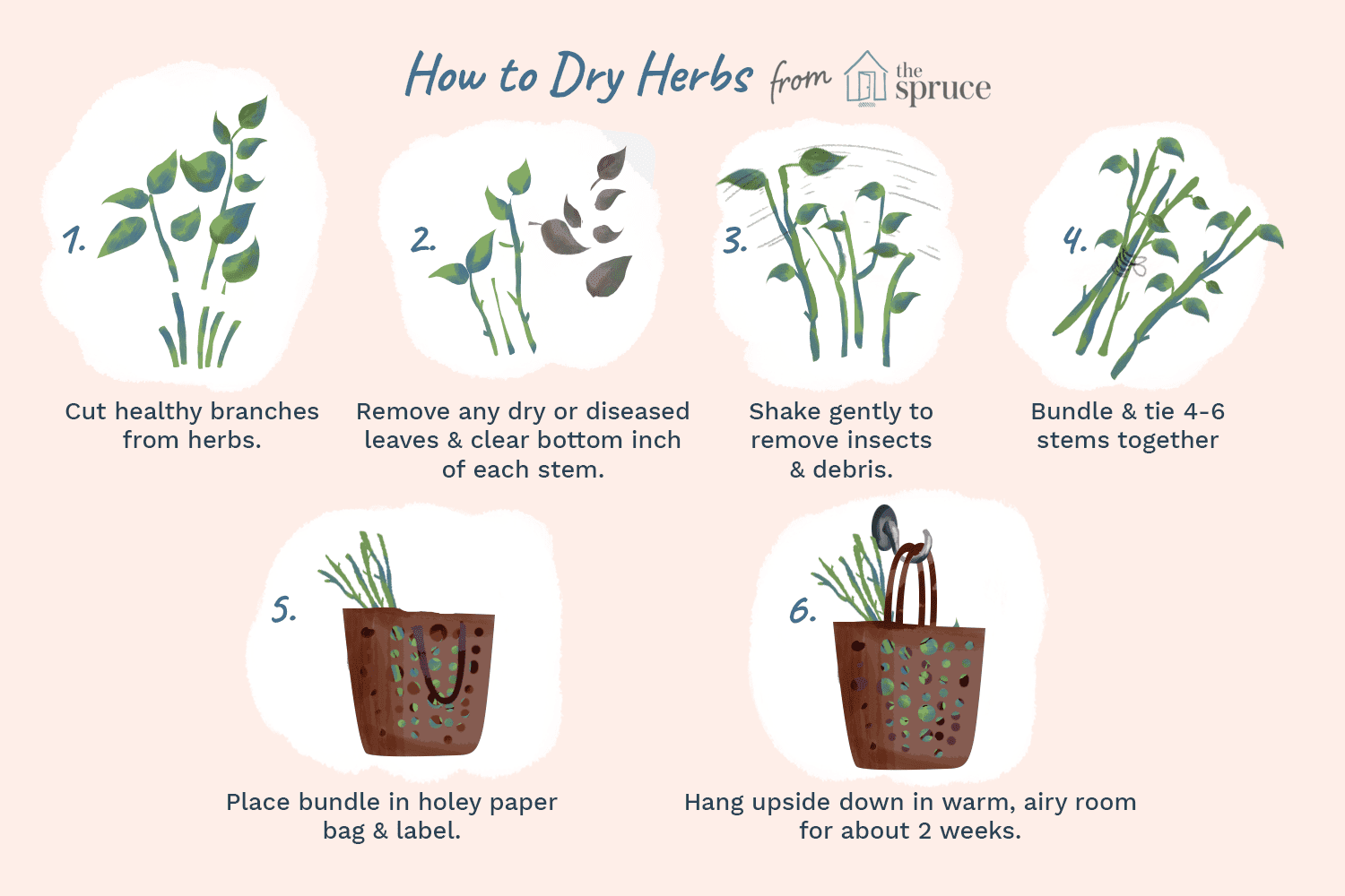 How do you clean and dry fresh herbs?