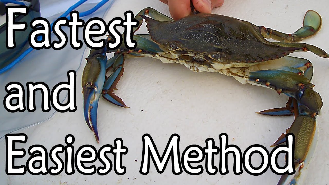 How do you clean blue crabs before freezing?