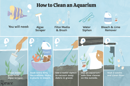 How do you clean fish tank glass before first use?