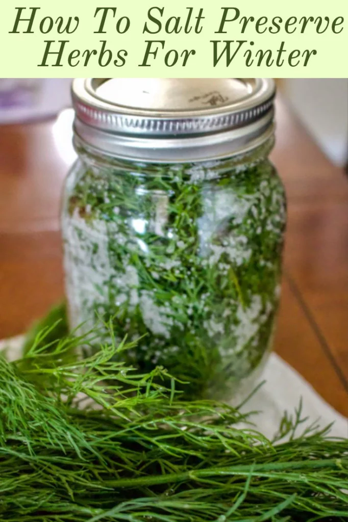 How do you clean herbs with salt?