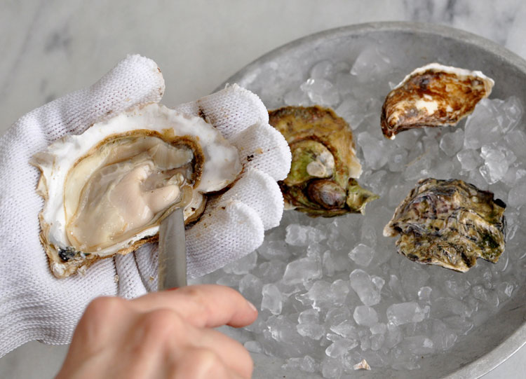 How do you clean poop off oysters?