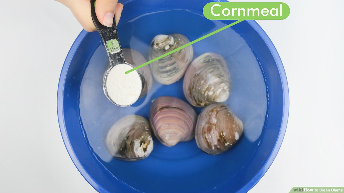 How do you clean shellfish step by step?