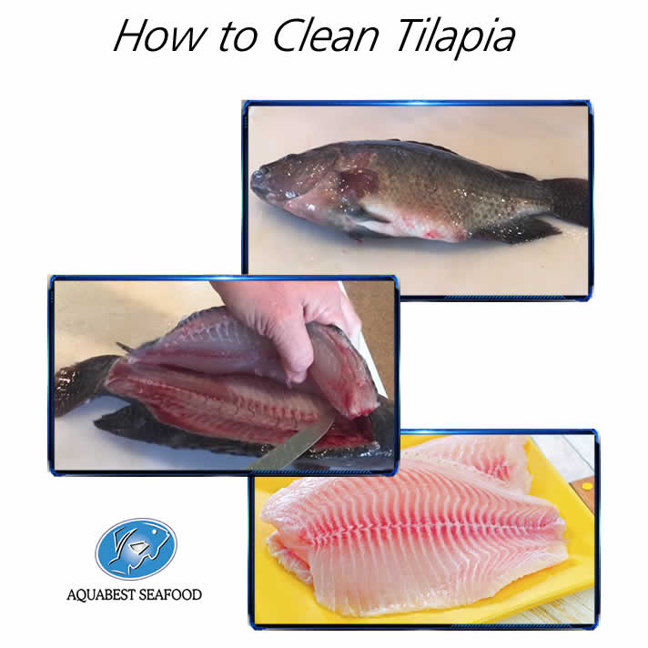 How do you clean tilapia before cooking?