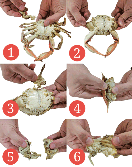 How do you cook and eat blue claw crabs?