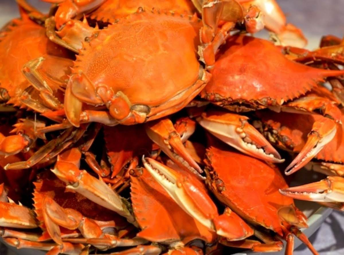 How do you cook crab without it smelling?