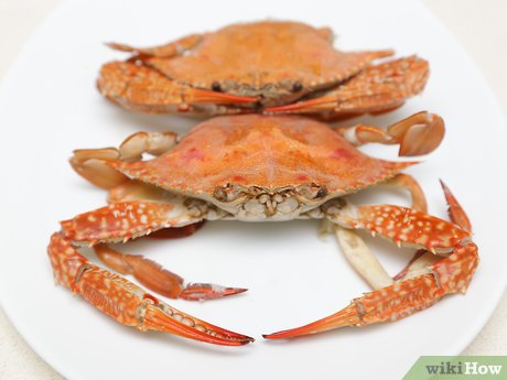 How do you cook crabs without it hurting?