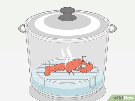 How do you cook dead frozen lobster?