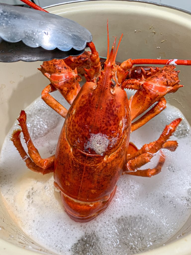 How do you cook dead lobster at home?