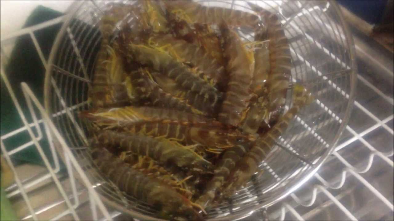 How do you cook fresh live prawns?