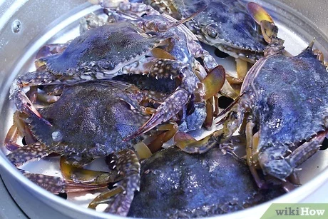 How do you cook frozen blue crabs in boiling water?