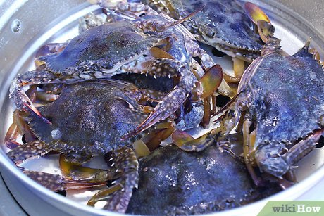 How do you cook frozen steamed Blue Crabs?