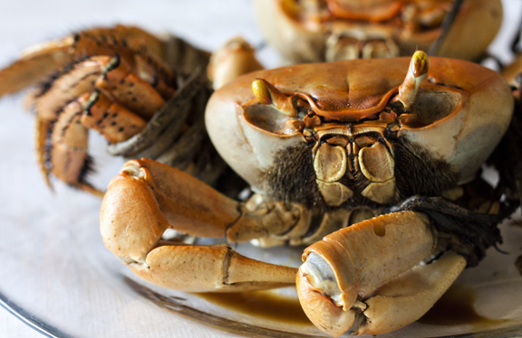 How do you cook land crabs?