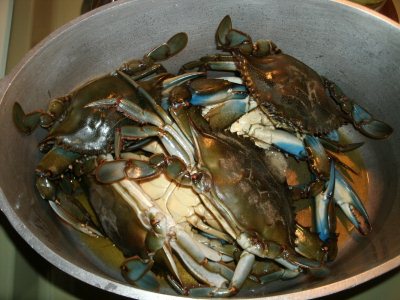 How do you cook live blue crabs?