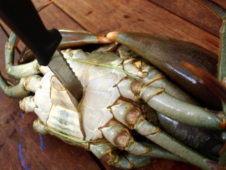 How do you cook live crab humanely?