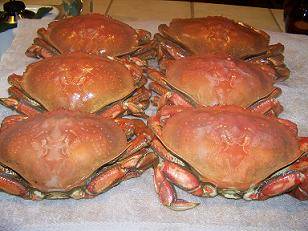 How do you cook live crabs before freezing?