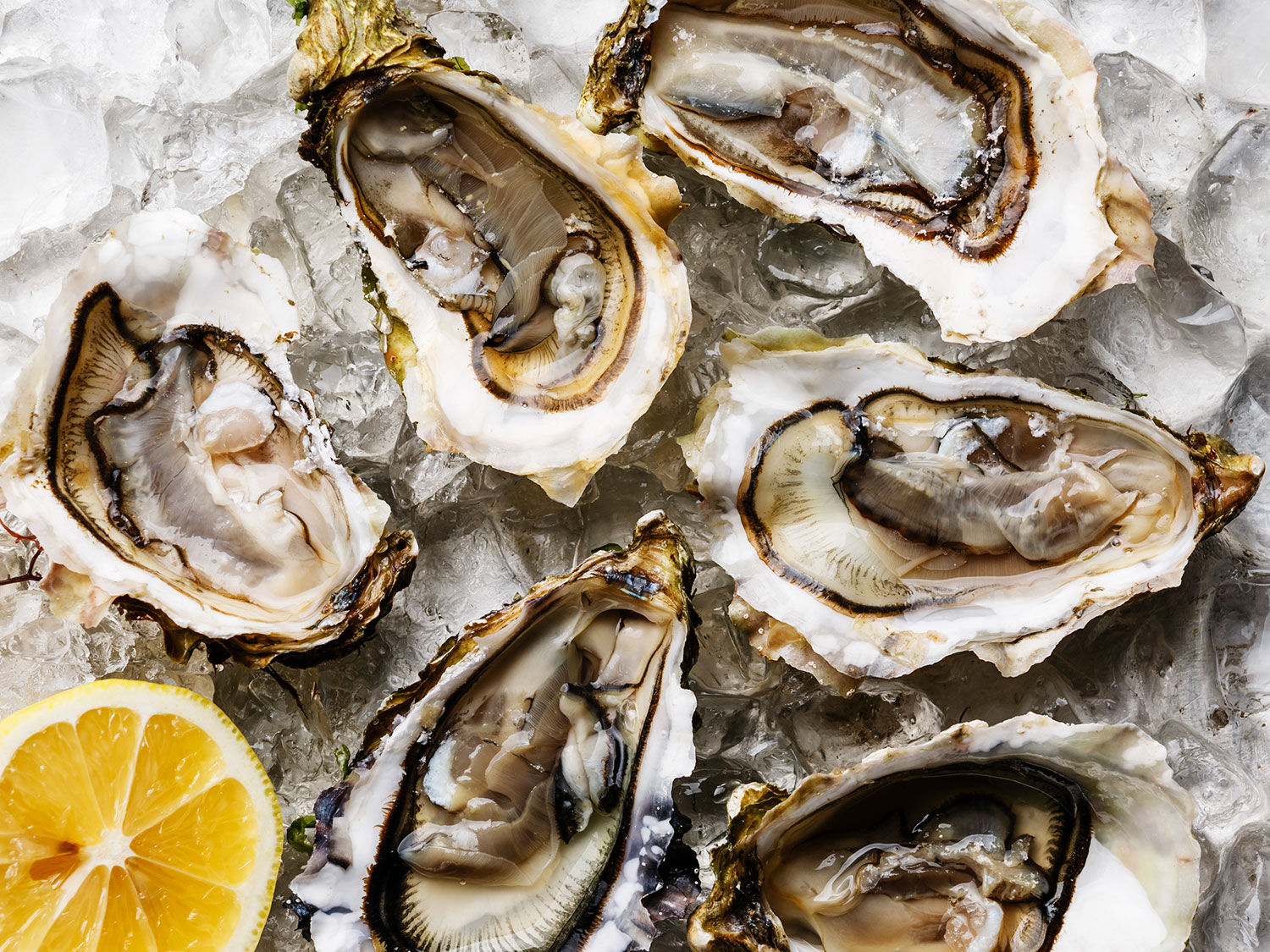 How do you cook raw shellfish?