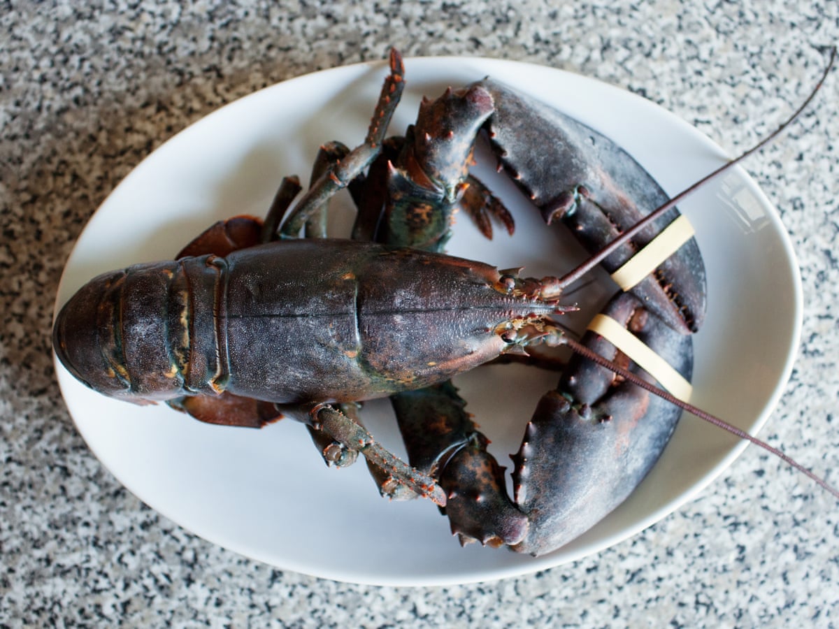 How do you cook Switzerland lobster?