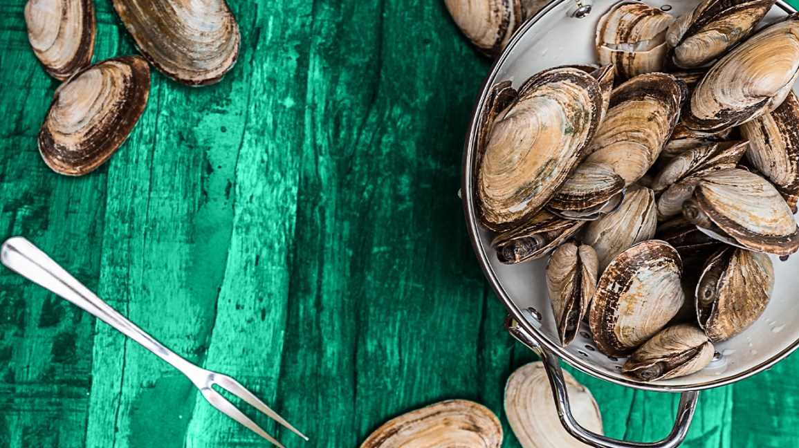 How do you cut fresh clams?