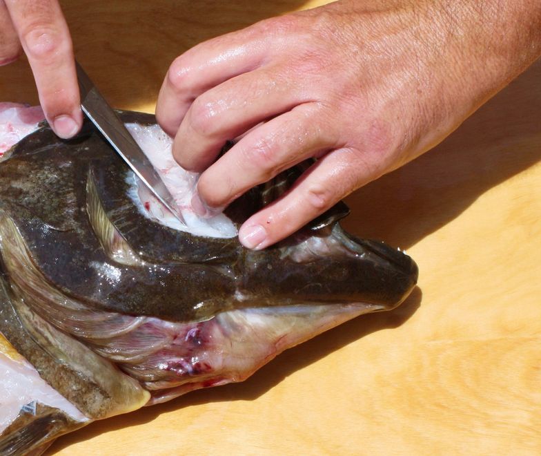 How do you cut halibut cheeks?