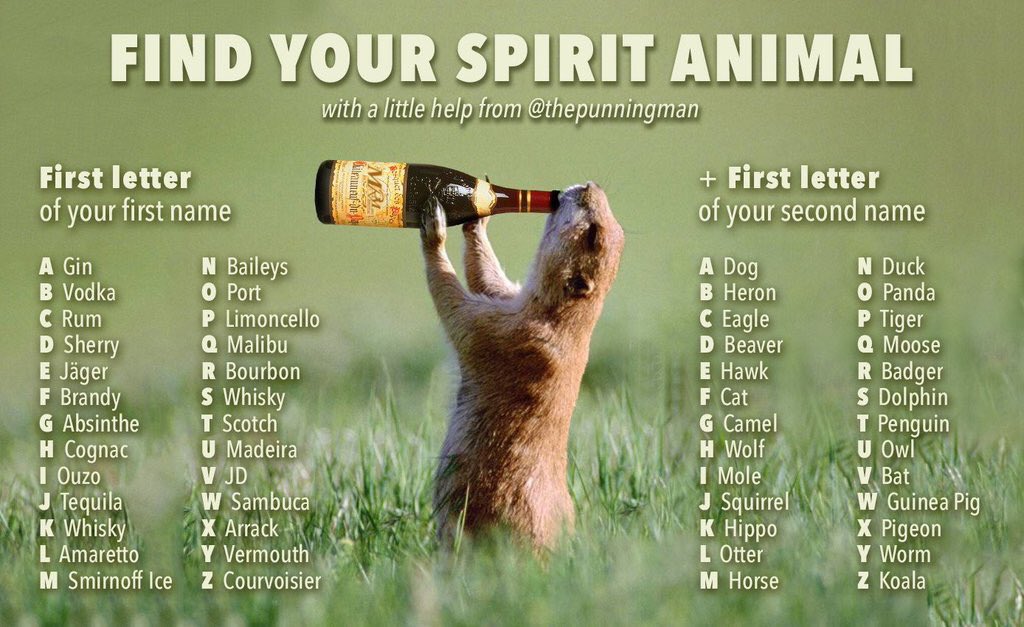 How do you decide what your spirit animal is?