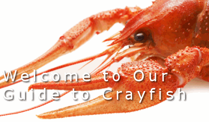 How do you defrost crayfish quickly?