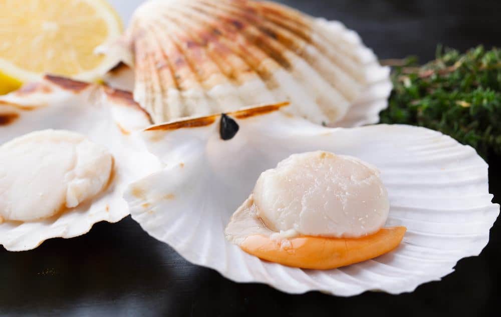 How do you defrost frozen scallops quickly?