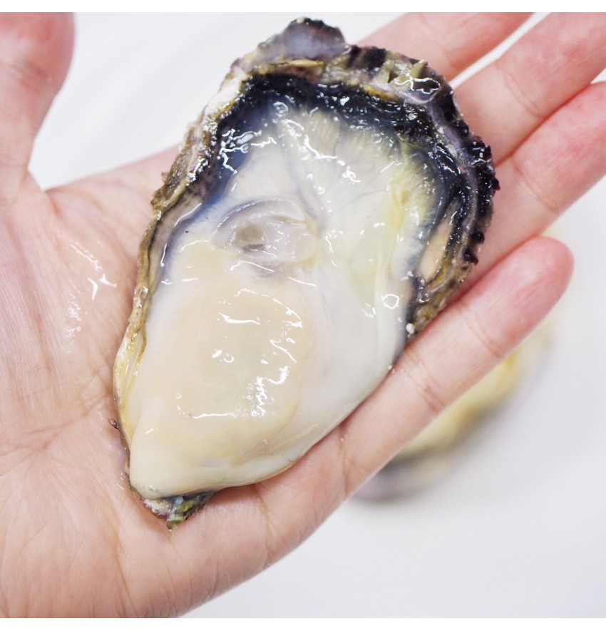 How do you defrost sashimi oyster?