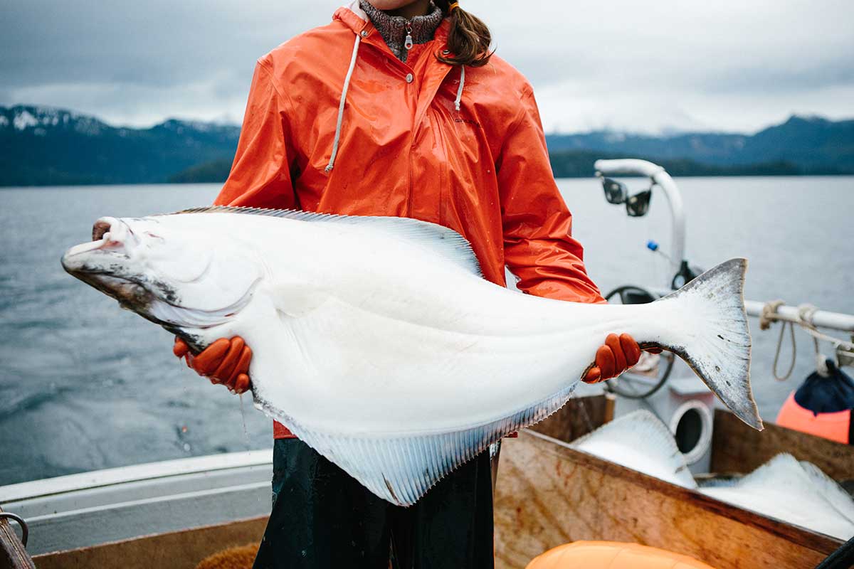 How do you defrost vacuum sealed halibut?
