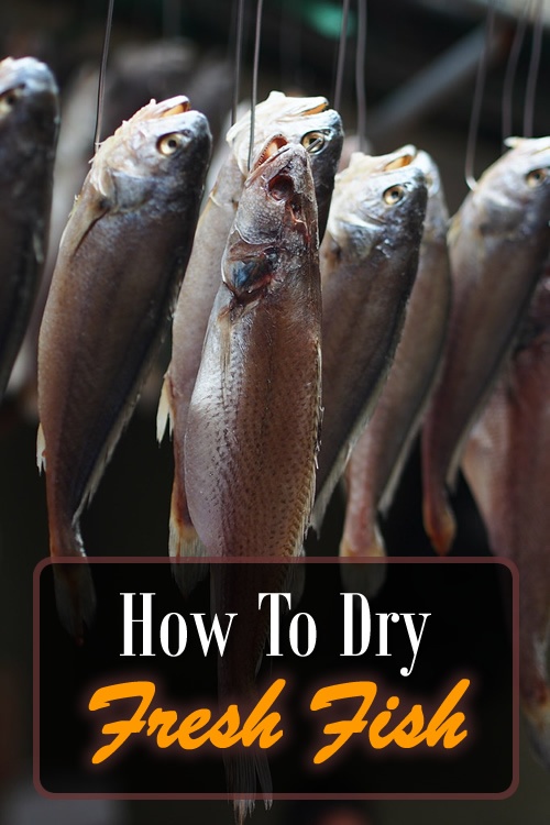 How do you dehydrate a whole fish?