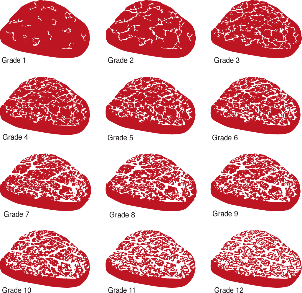 How do you differentiate wagyu grades?