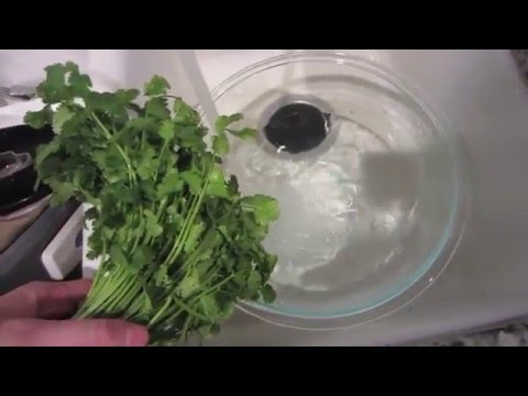 How do you disinfect cilantro?