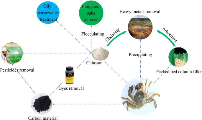 How do you dispose of crab shells?