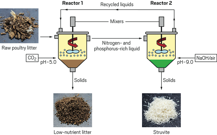 How do you dissolve chicken poop?