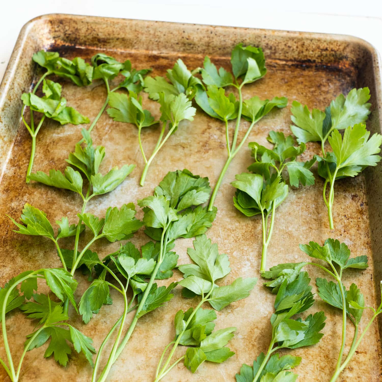 How do you dry parsley and keep it green?