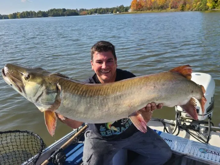How do you eat a Muskie?